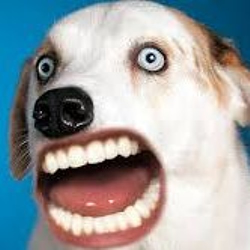 Stream Jhay Harrell music | Listen to songs, albums, playlists for free ...