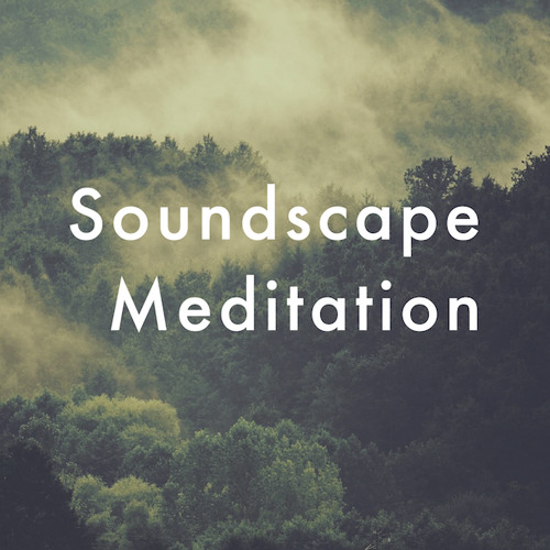 Stream Soundscape Meditation music | Listen to songs, albums, playlists ...