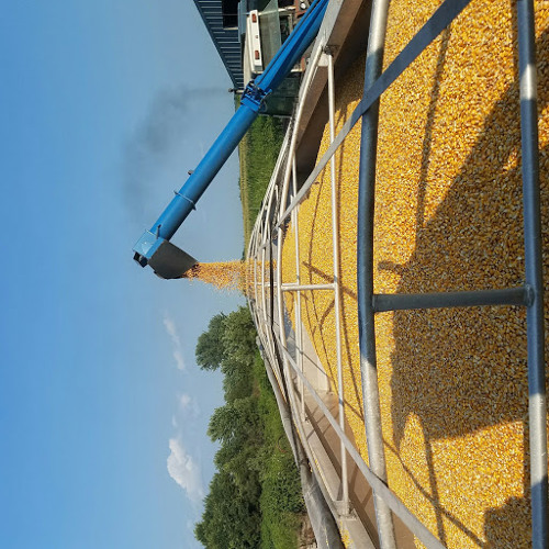 Stream jstream vlogs music | Listen to songs, albums, playlists for ...