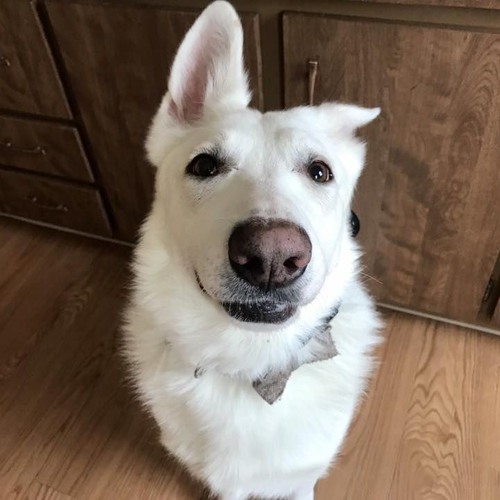 Stream Kassi Burnett | Listen to indie playlist online for free on ...