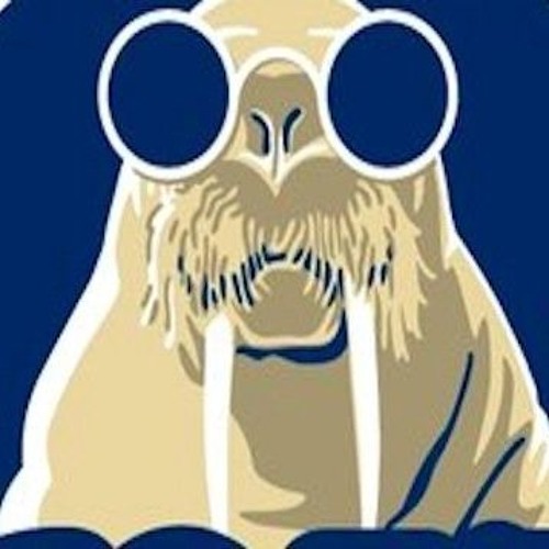 Stream Dr Walrus music | Listen to songs, albums, playlists for free on ...