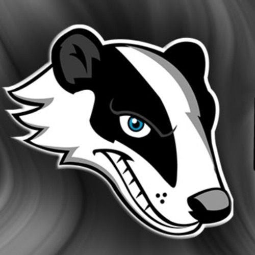 Stream Badger Nation music | Listen to songs, albums, playlists for ...