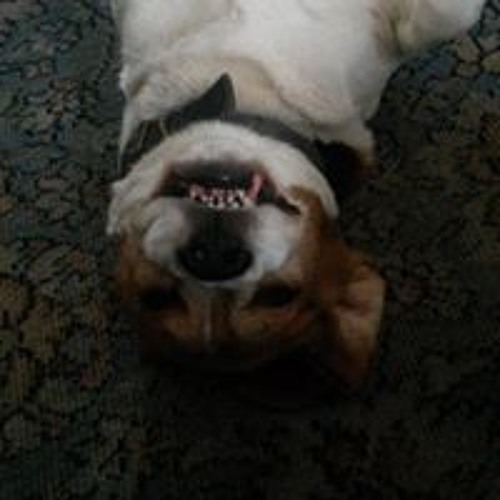 Stream Nyah Thomas music | Listen to songs, albums, playlists for free ...