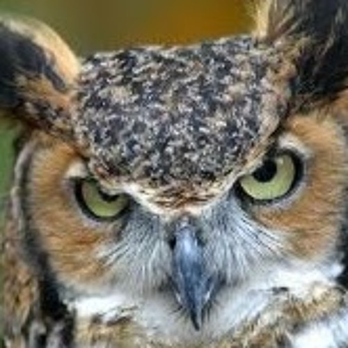 Stream Maria Zen-Baxter music | Listen to songs, albums, playlists for ...