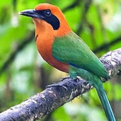 Stream Yousaf Jamal music | Listen to songs, albums, playlists for free ...