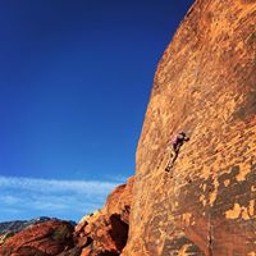 Stream Jake frum State Farm music | Listen to songs, albums, playlists ...