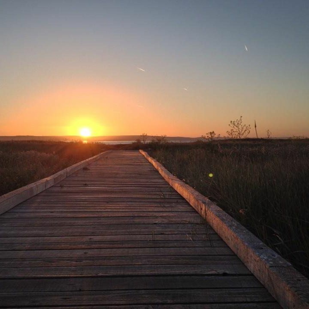 Stream Hawfinch Flight Call 9.11 by Joseph Stockwell | Listen online ...