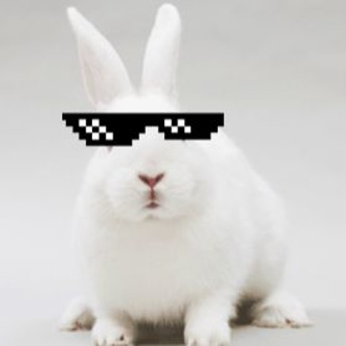 Stream ConejoPromises music | Listen to songs, albums, playlists for ...