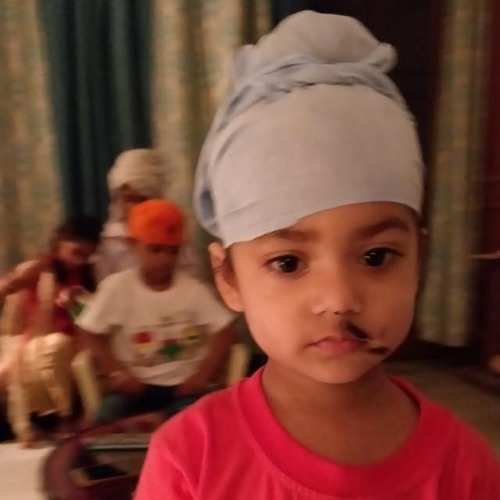 Avtar Singh Cheema Mount Everest