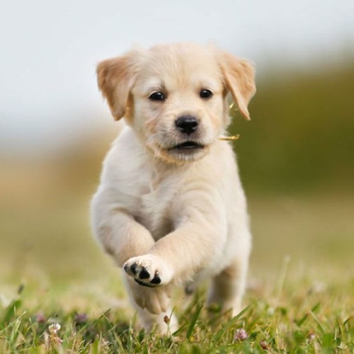 Stream Kristen Jacobsen 2 music | Listen to songs, albums, playlists ...