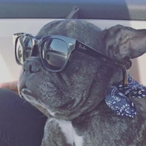 Stream Harry Foster music | Listen to songs, albums, playlists for free ...