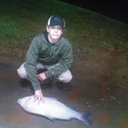 Stream Tyler Shumate music | Listen to songs, albums, playlists for ...