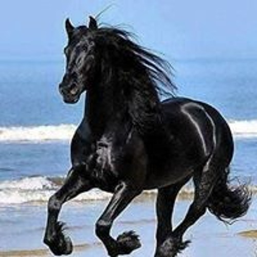 Stream Sally Samir-Sso music | Listen to songs, albums, playlists for ... Stream Sally Samir-Sso music | Listen to songs, albums, playlists for ...