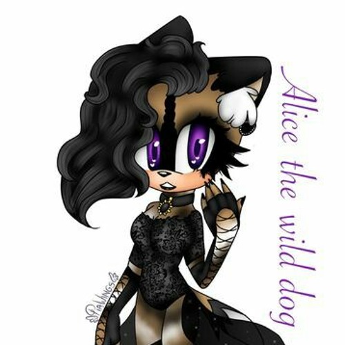 Stream Alice The Wild Dog music | Listen to songs, albums, playlists ...