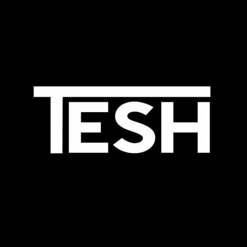 Stream DJ TESH music | Listen to songs, albums, playlists for free on ...