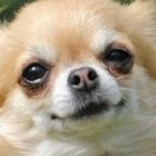 Stream Da' Binding Of Chip Mank music | Listen to songs, albums ...