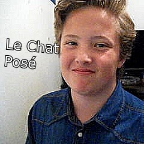 Stream Le Chat Posé music | Listen to songs, albums, playlists for free ...