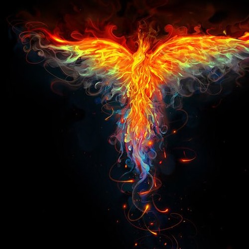 Stream dj HELLCAT music | Listen to songs, albums, playlists for free ...