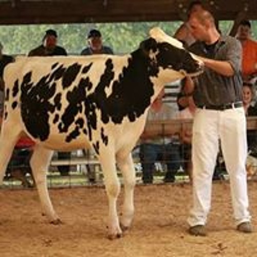 Stream Jared Harding music | Listen to songs, albums, playlists for ...