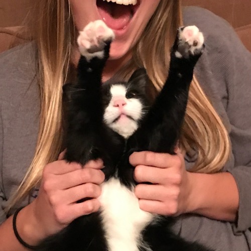 Stream Carly Harrison 2 music | Listen to songs, albums, playlists for ...