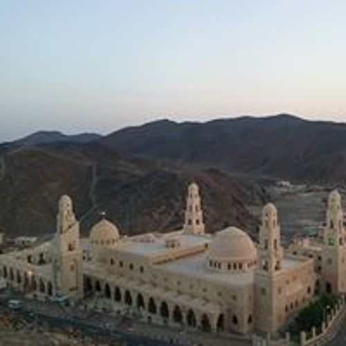 Stream Fatma Hamdy music | Listen to songs, albums, playlists for free ...