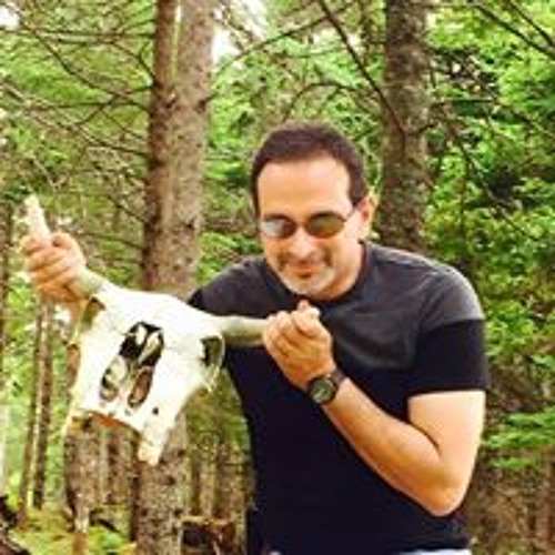 Stream Georges Léger music | Listen to songs, albums, playlists for ...