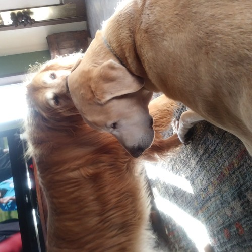 Stream Tim McMillen music | Listen to songs, albums, playlists for free ...