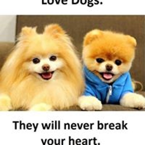 Stream Kuenzang Lhamo music | Listen to songs, albums, playlists for ...