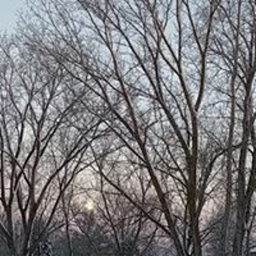 Stream Emily Kay Klinger music | Listen to songs, albums, playlists for ...