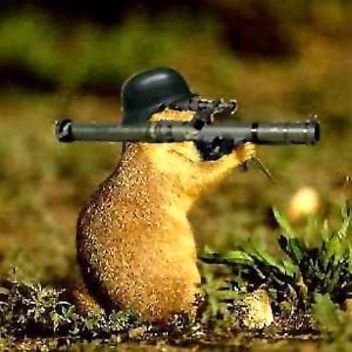 Stream Bazuka Live music | Listen to songs, albums, playlists for free ...