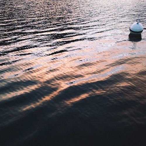 Stream Mary Caprio music | Listen to songs, albums, playlists for free ...