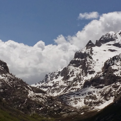 Stream Tracy Cornwell music | Listen to songs, albums, playlists for ...