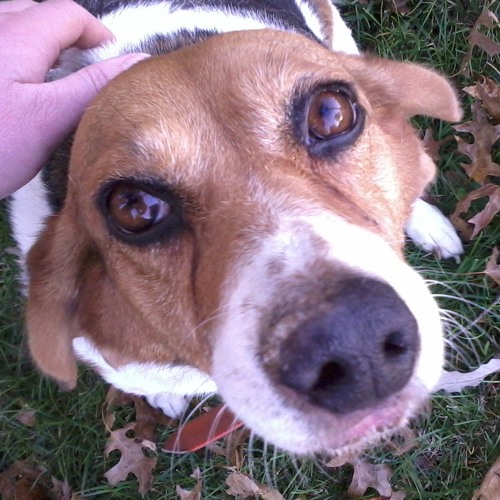 Stream Jack Spurlock music | Listen to songs, albums, playlists for ...