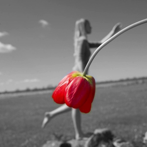 Stream Pille-Riin Langeproon music | Listen to songs, albums, playlists ...