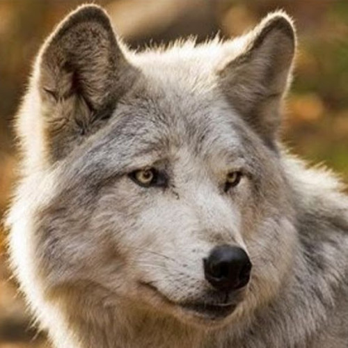 Stream Ben Porteous-hurst music | Listen to songs, albums, playlists ...