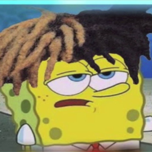 Stream LIL SPONGE music | Listen to songs, albums, playlists for free ...