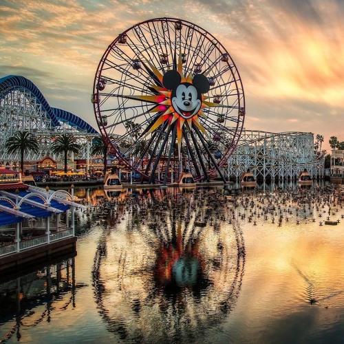 Stream Carrie Packer music | Listen to songs, albums, playlists for ...