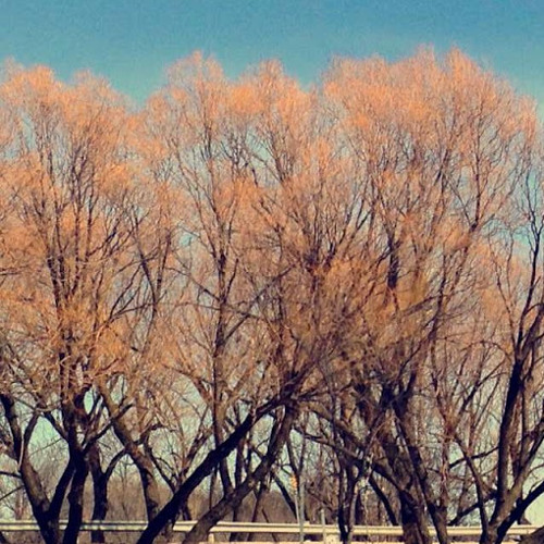 Stream Joy Benitez music | Listen to songs, albums, playlists for free ...