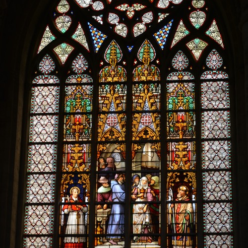 Stream Louis Van Moll music | Listen to songs, albums, playlists for ...