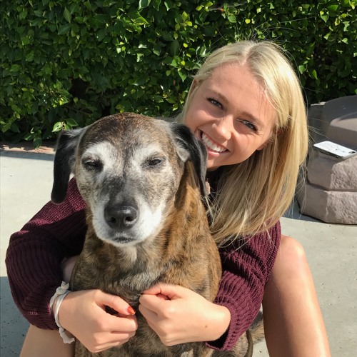 Stream djdeelz music | Listen to songs, albums, playlists for free on ...