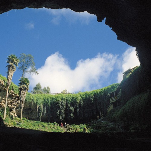 Stream lane renner music | Listen to songs, albums, playlists for free ...