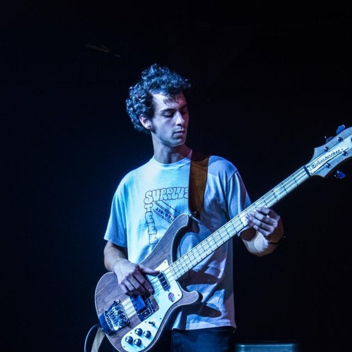 Stream CrawlingKingSnakeFirstAttempt - Bright Delusions by Ethan ...