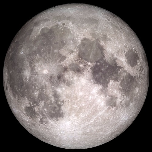 Stream Kaneko music | Listen to songs, albums, playlists for free on ...