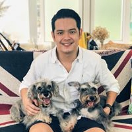 Stream Terry Peh | Listen to Good Dog People Interview with Capital 95 ...