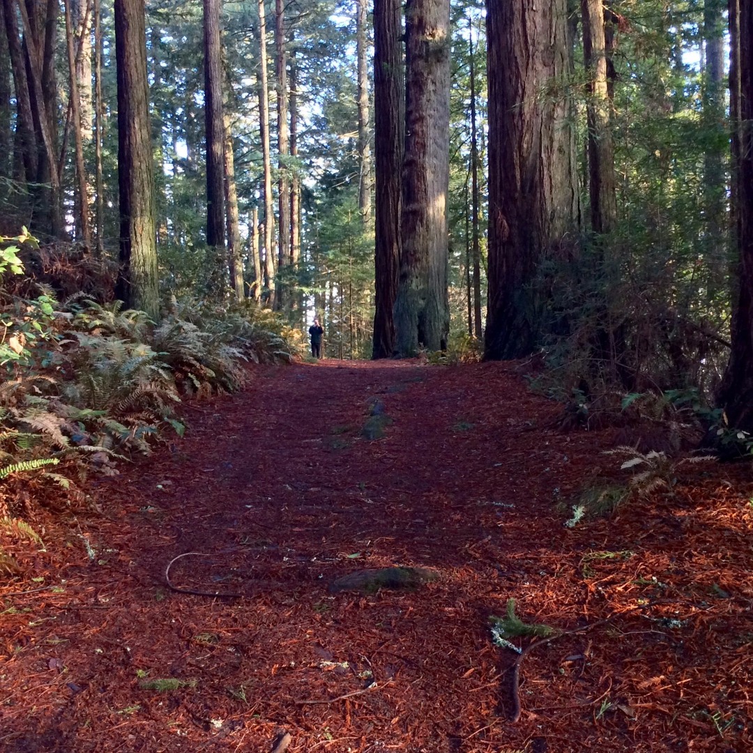 Stream jgjgjg music | Listen to songs, albums, playlists for free on ...