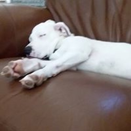 Stream Tabor Fritts music | Listen to songs, albums, playlists for free ...