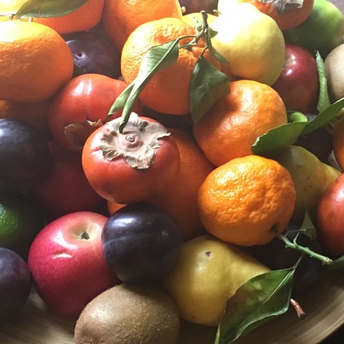 Stream Fahimeh Gooran music | Listen to songs, albums, playlists for ...