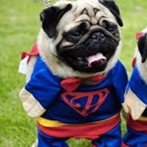 Stream Jazz PzaZ by Gavin Richey | Listen online for free on SoundCloud