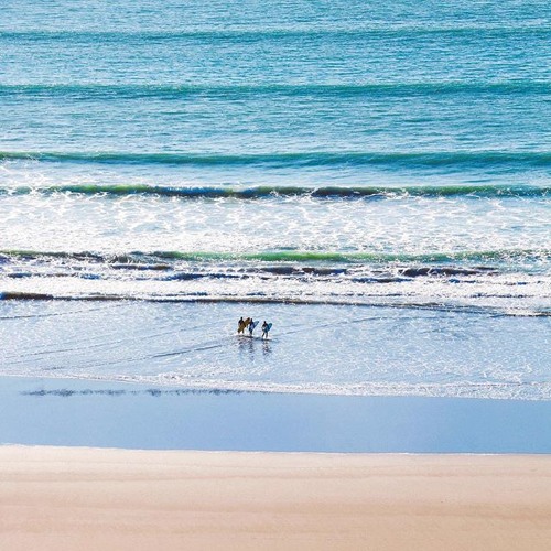 Stream Elizabeth Robertson music | Listen to songs, albums, playlists ...