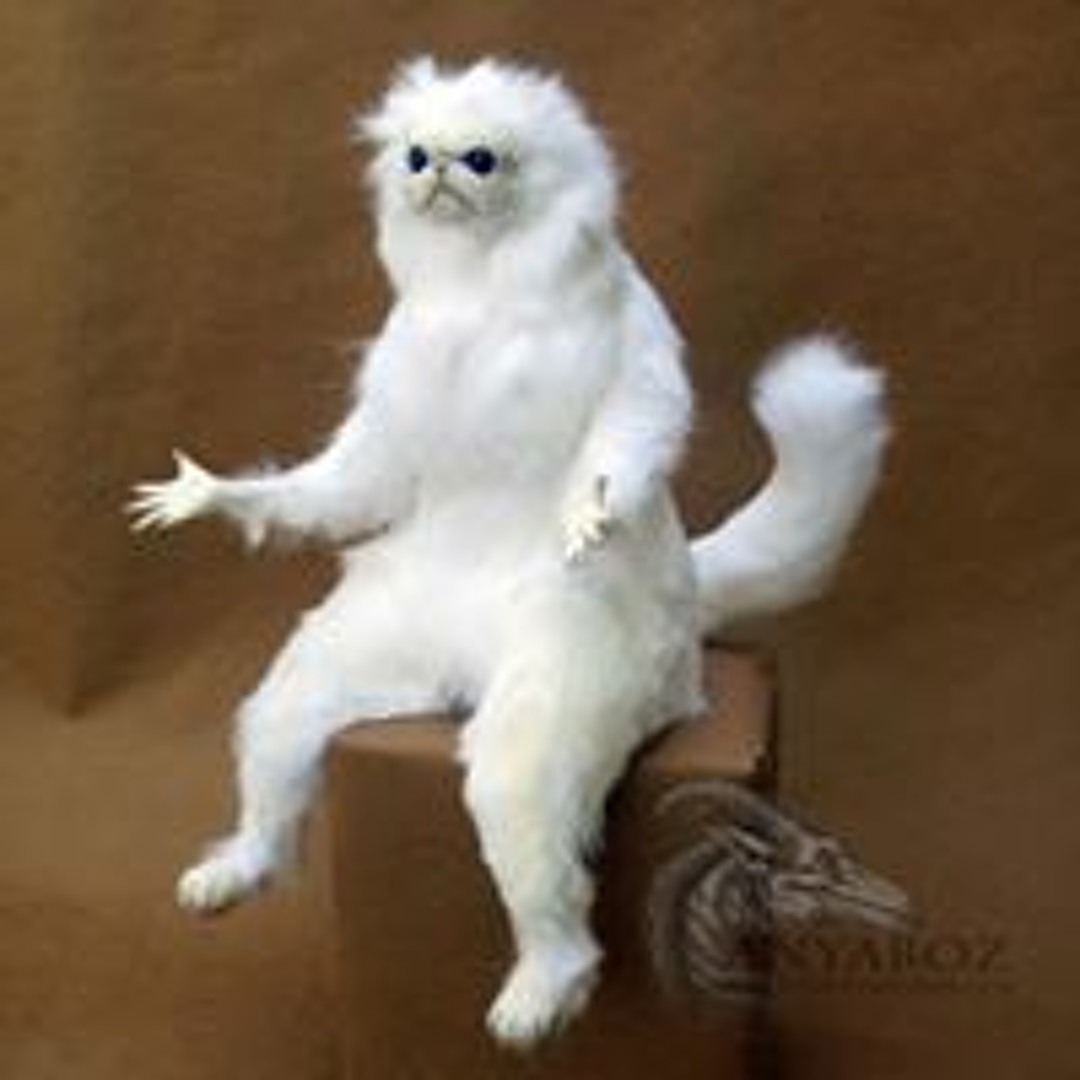 Stream Jane Dro music | Listen to songs, albums, playlists for free on ...